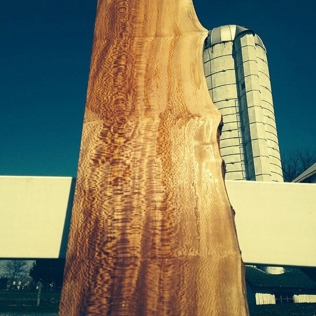 CURLY FRENCH SYCAMORE SLAB